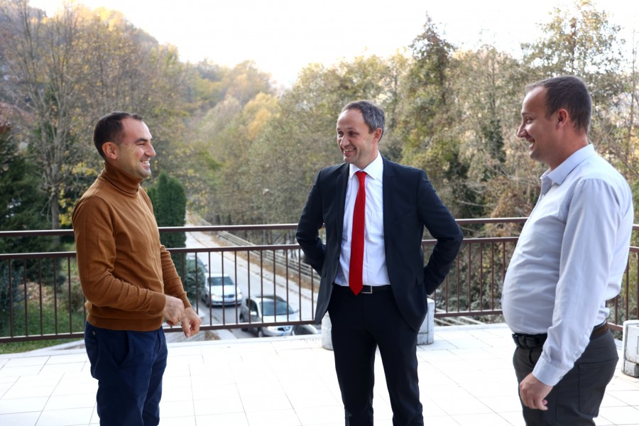 Sustainable Development through Digitalization: The Story of Education ...